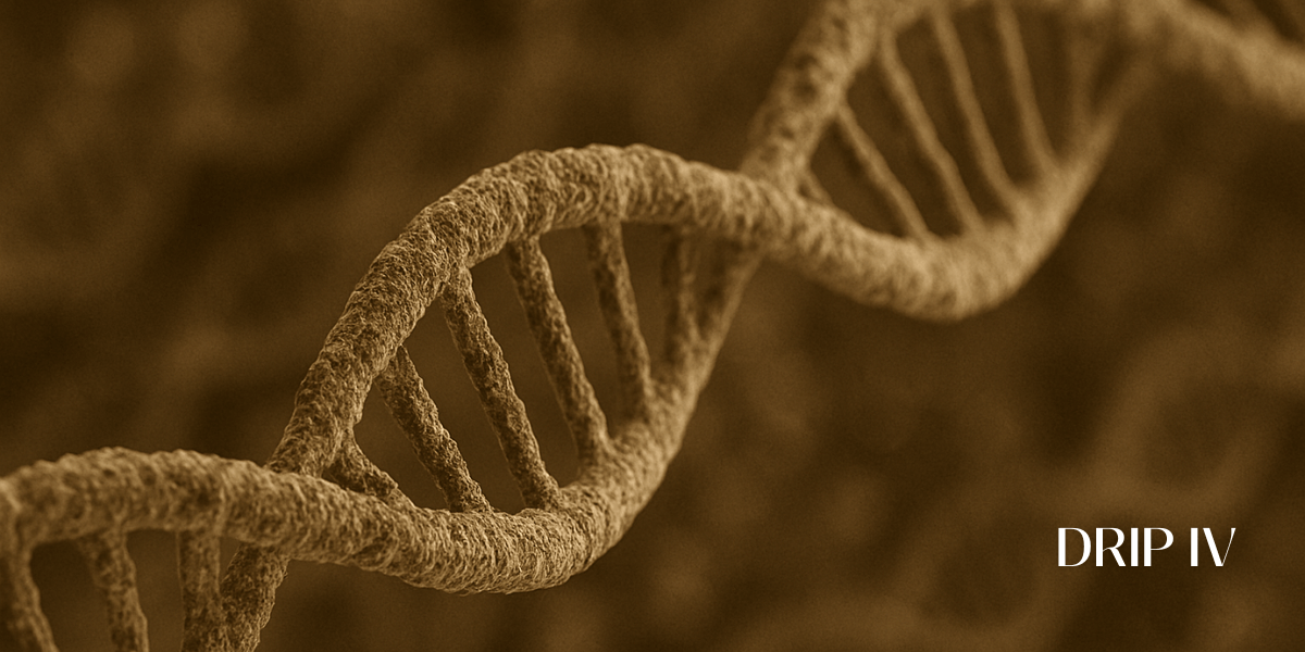 MTHFR Gene Mutations and How It Effects Your Health | Drip IV